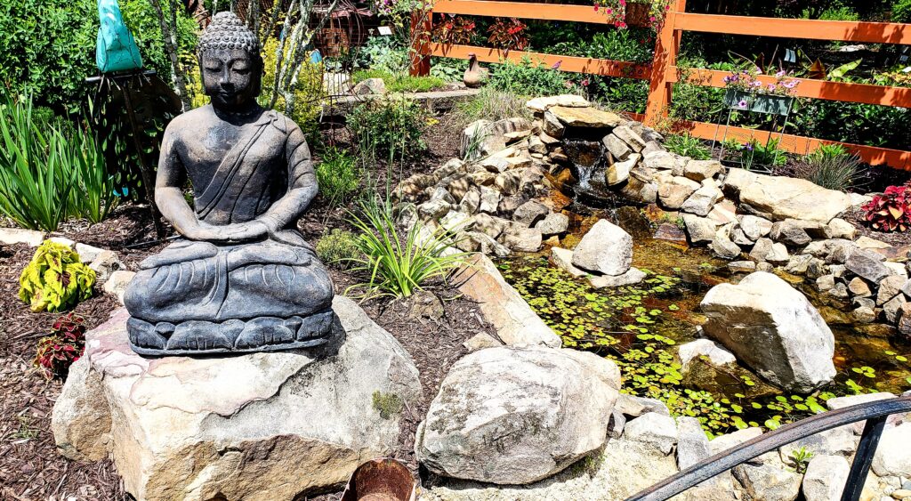 Transforming into a Rustic Water Feature with Dry Creek Bed